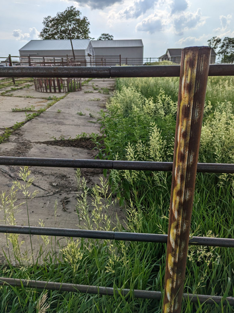 What’s wrong with this Fencing? How to evaluate poor welding and ...